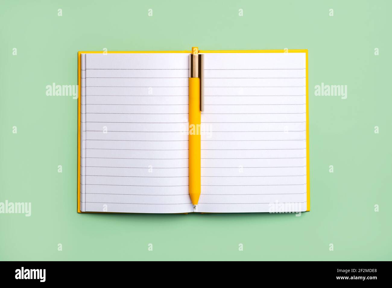 Open diary with copy space and yellow pen on a green background ...