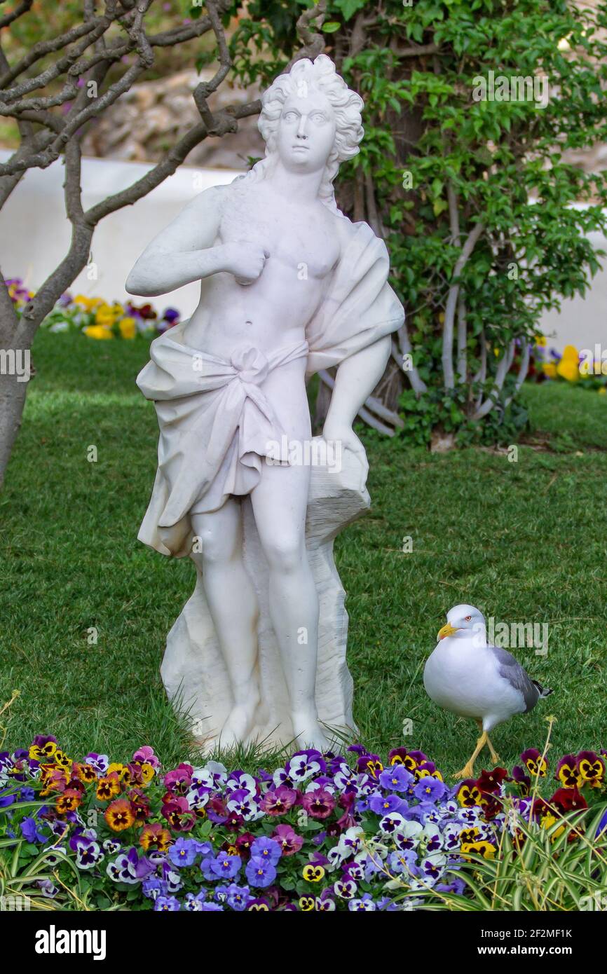 An ancient statue and a seagull in the famous Garden of Augustus, Capri ...
