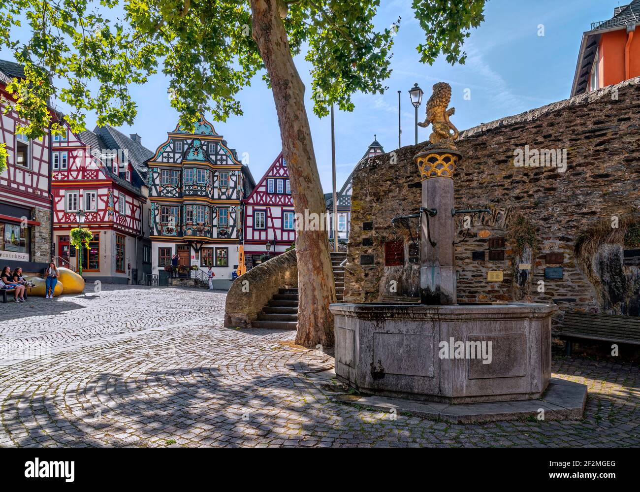 Germany, Hesse, Idstein, König-Adolf-Platz, lion fountain, tree, half ...