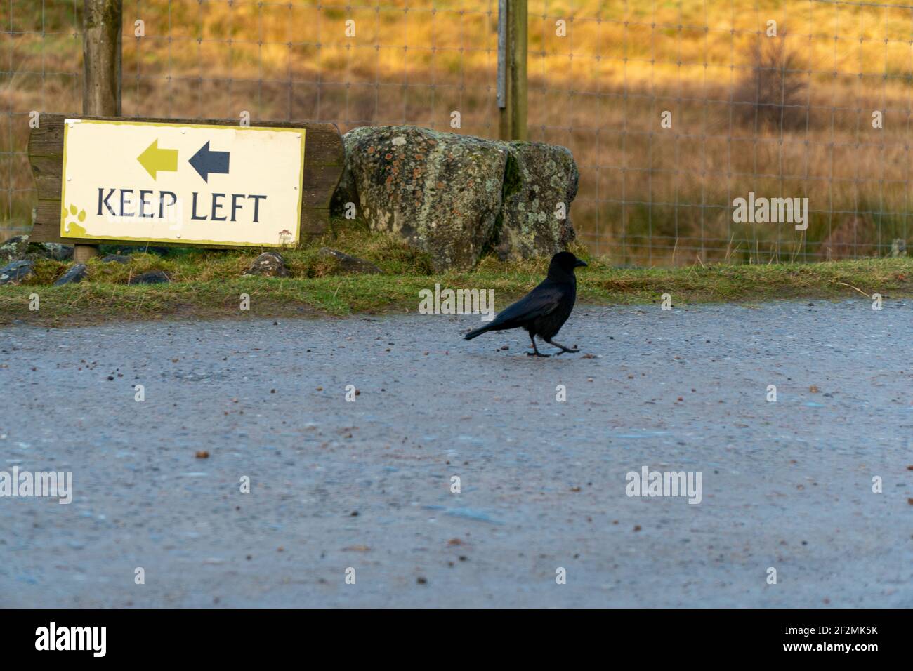 No everyone can follow the rules now days Stock Photo - Alamy