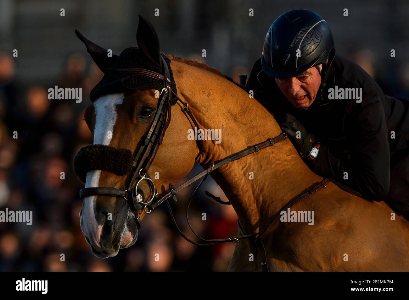 John WHITAKER riding TALISMAN DE MAZURE during the Versailles Castle ...