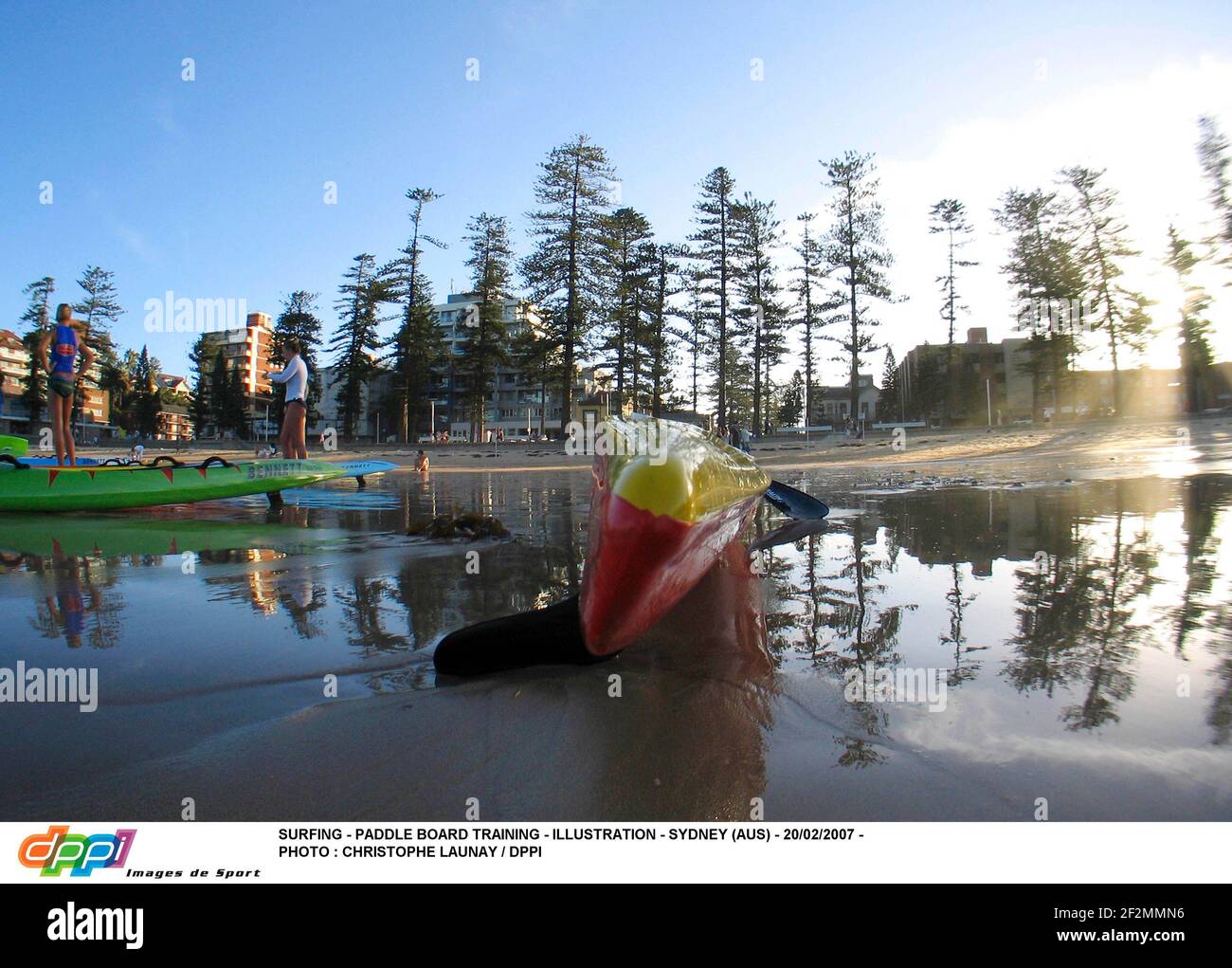 SURFING - PADDLE BOARD TRAINING - ILLUSTRATION - SYDNEY (AUS) - 20/02 ...