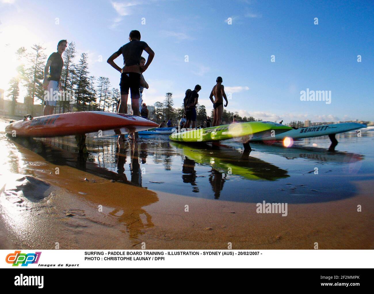 SURFING - PADDLE BOARD TRAINING - ILLUSTRATION - SYDNEY (AUS) - 20/02 ...