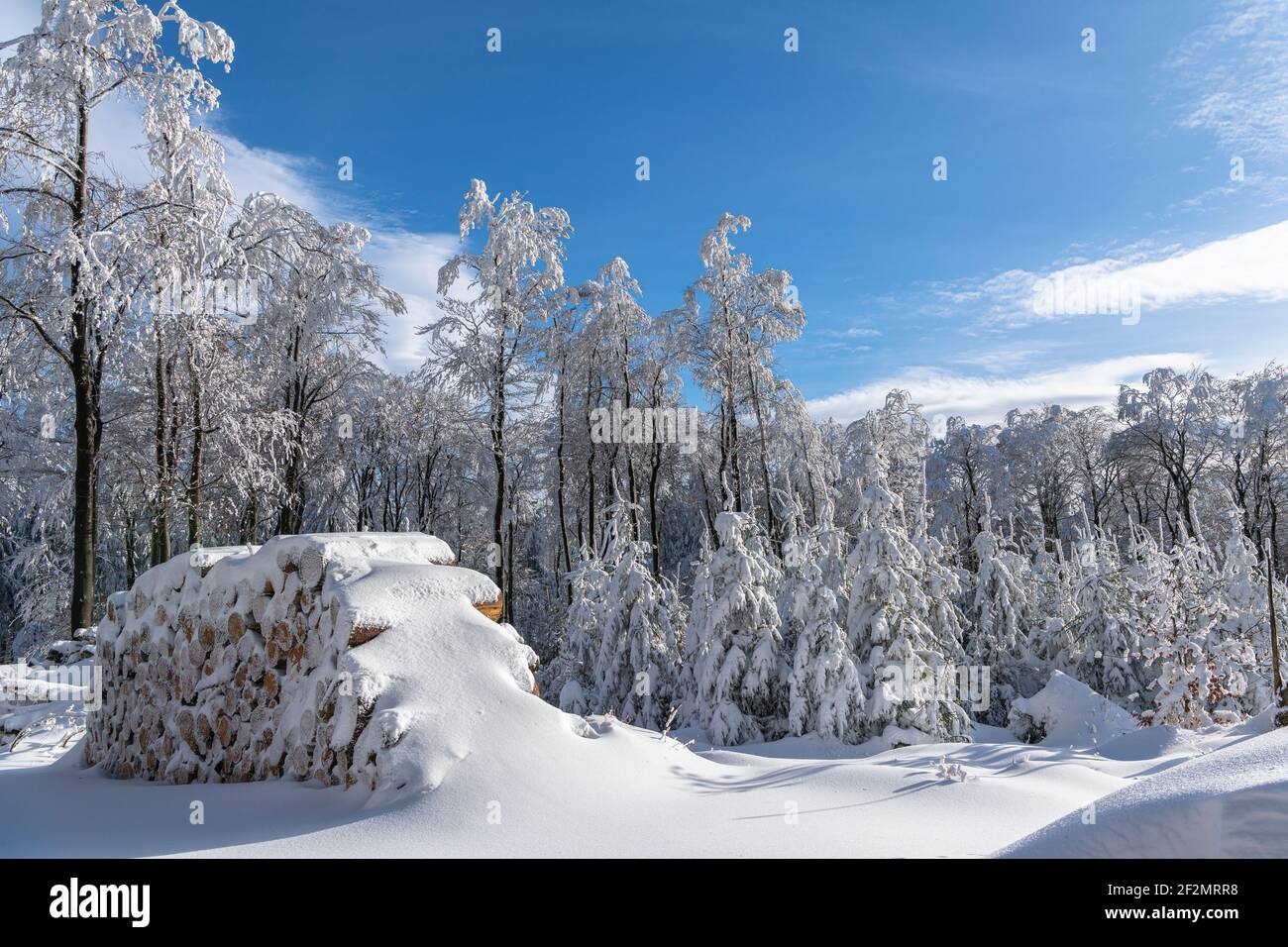 Hike to the Inselsberg in the Thuringian Forest, Germany Stock Photo ...