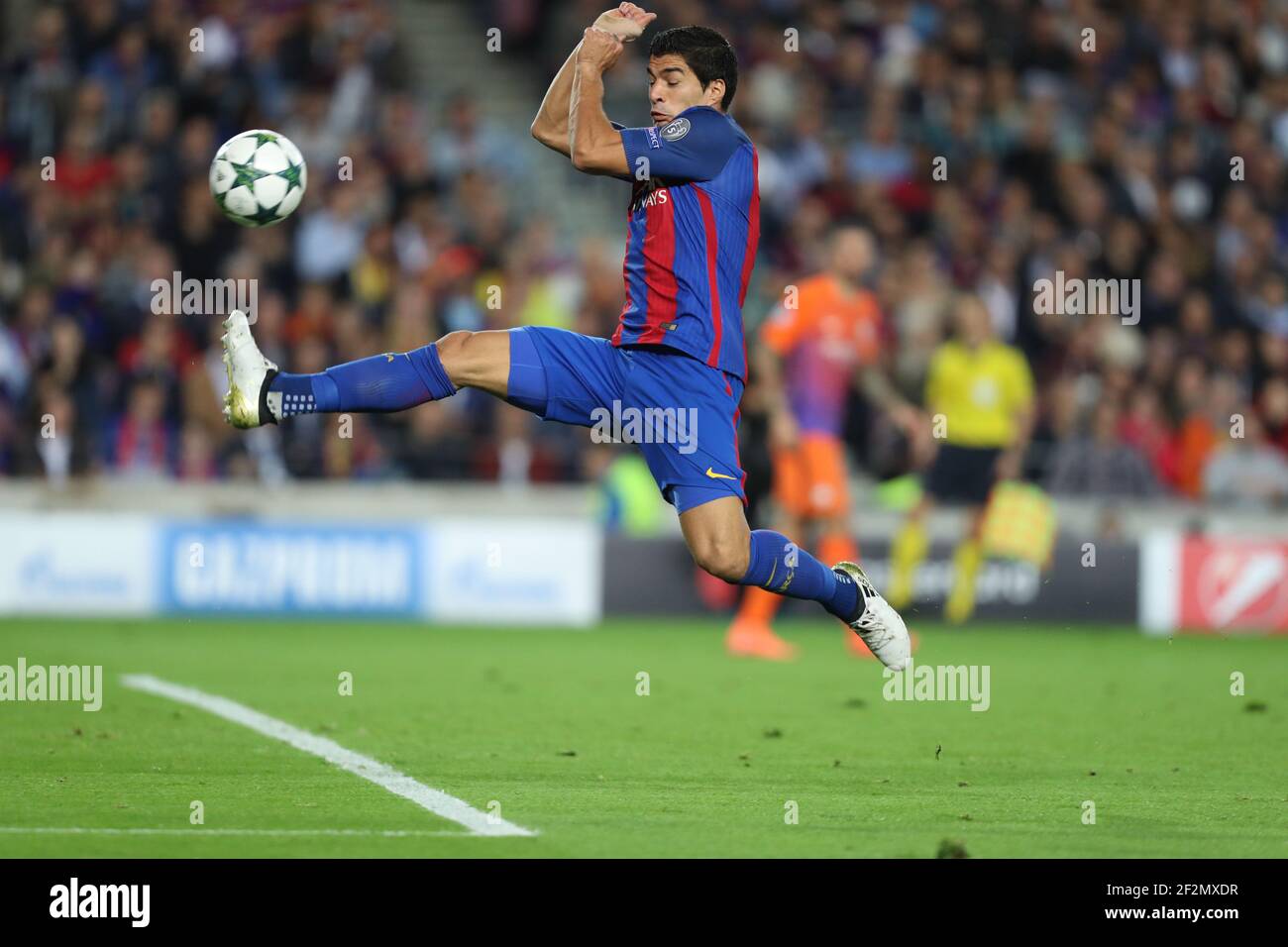 Luis Suarez of FC Barcelona during the UEFA Champions League, Group C ...