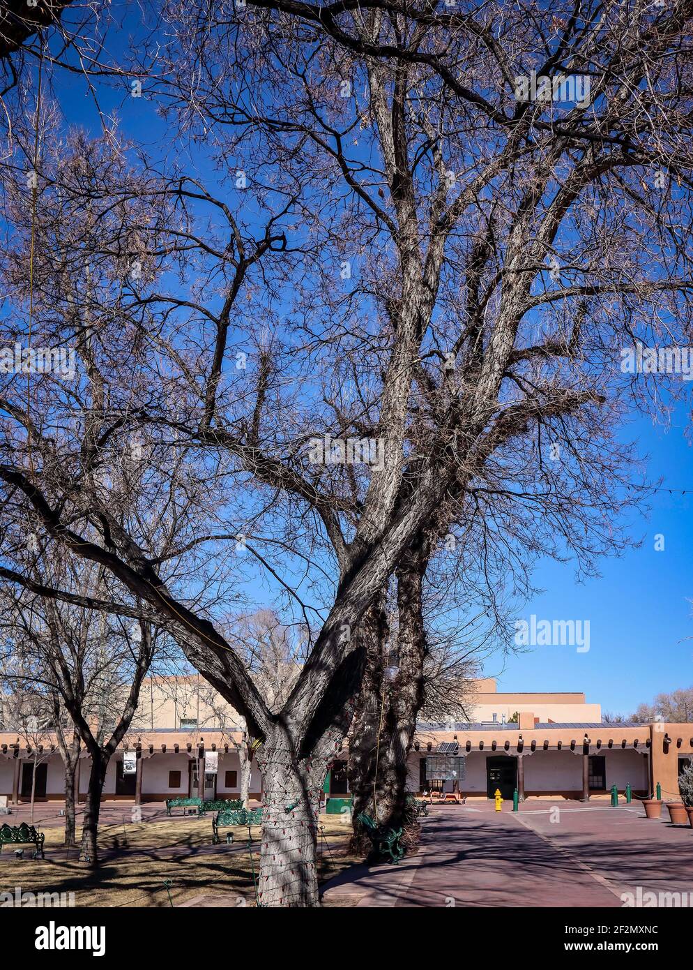 A look at the trees and plaza in downtown Santa Fe, NM Stock Photo - Alamy