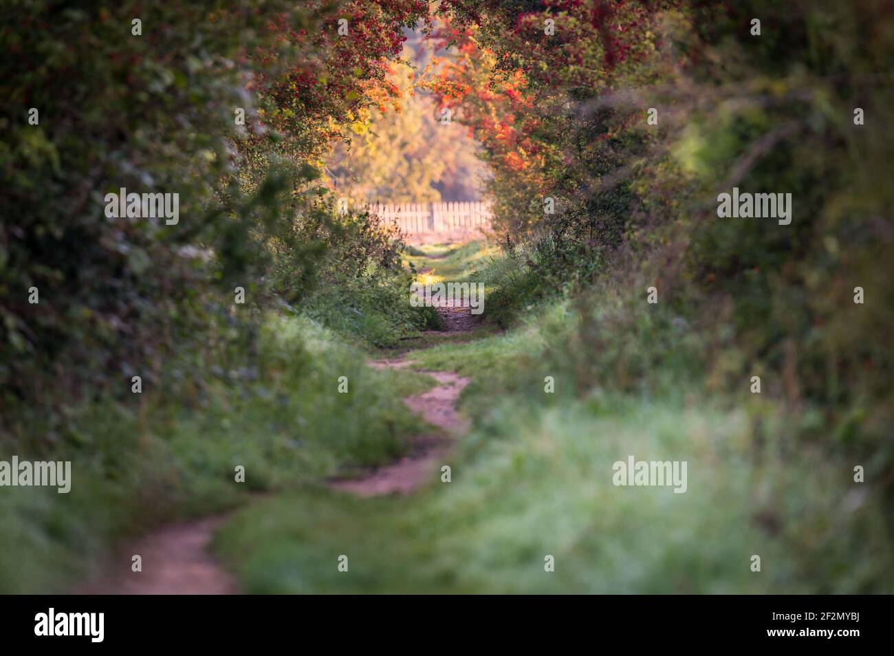 Secret Passage High Resolution Stock Photography and Images - Alamy