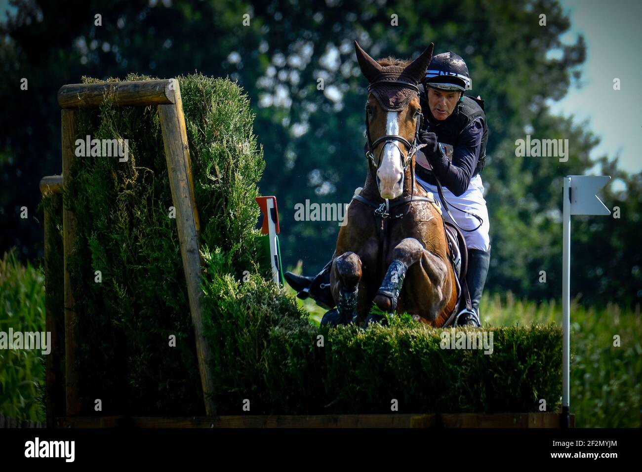 Blyth TAIT (NZL) riding Havanna during the World Equestrian Festival ...