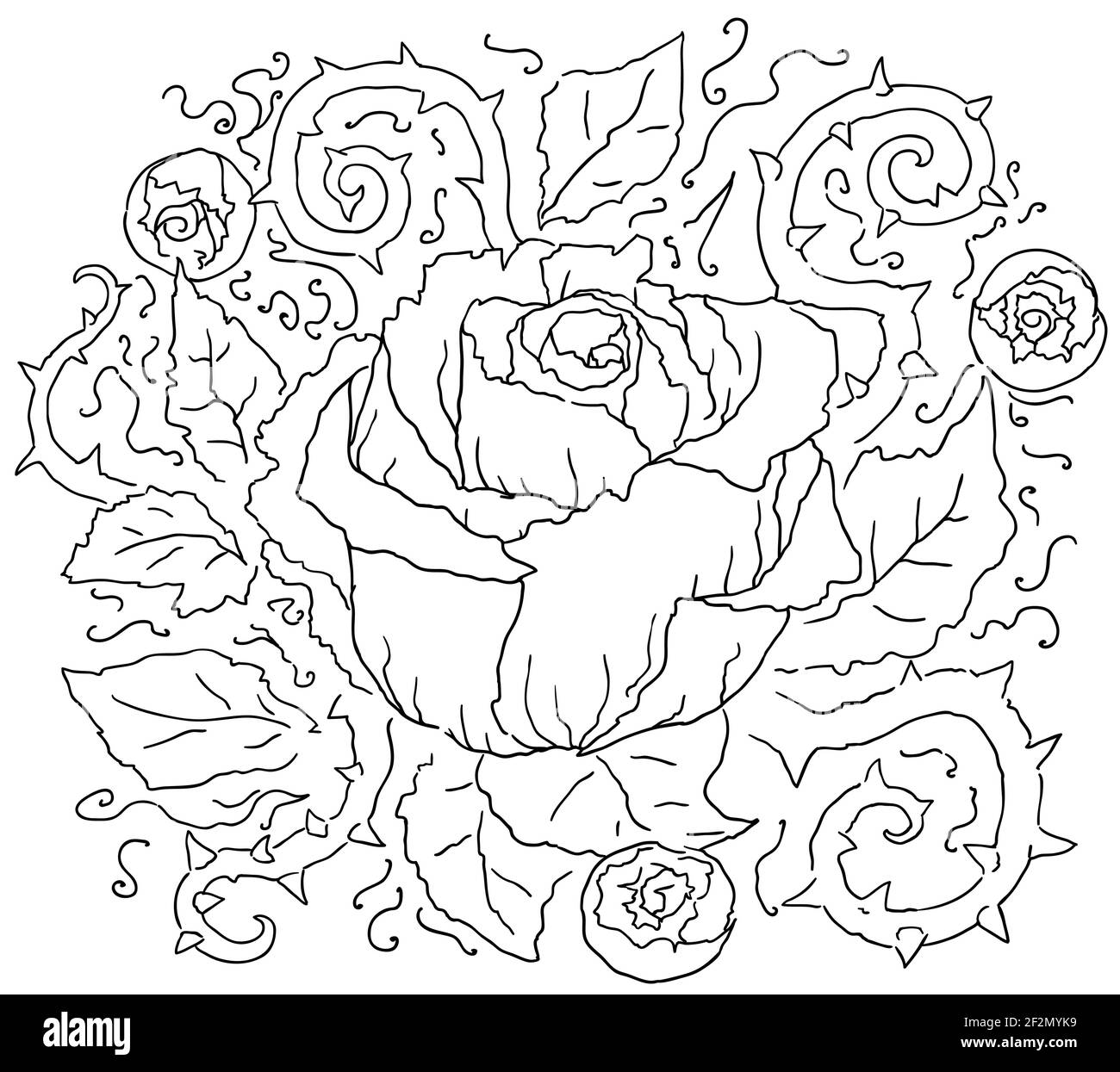 Rose flower decorative line drawing design, vector, horizontal, black ...