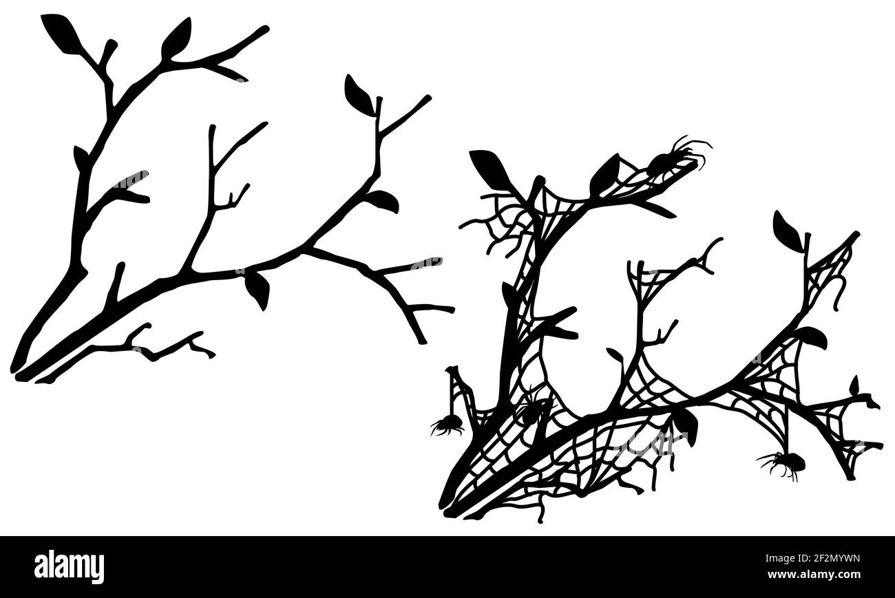 Horizontal Tree Branch