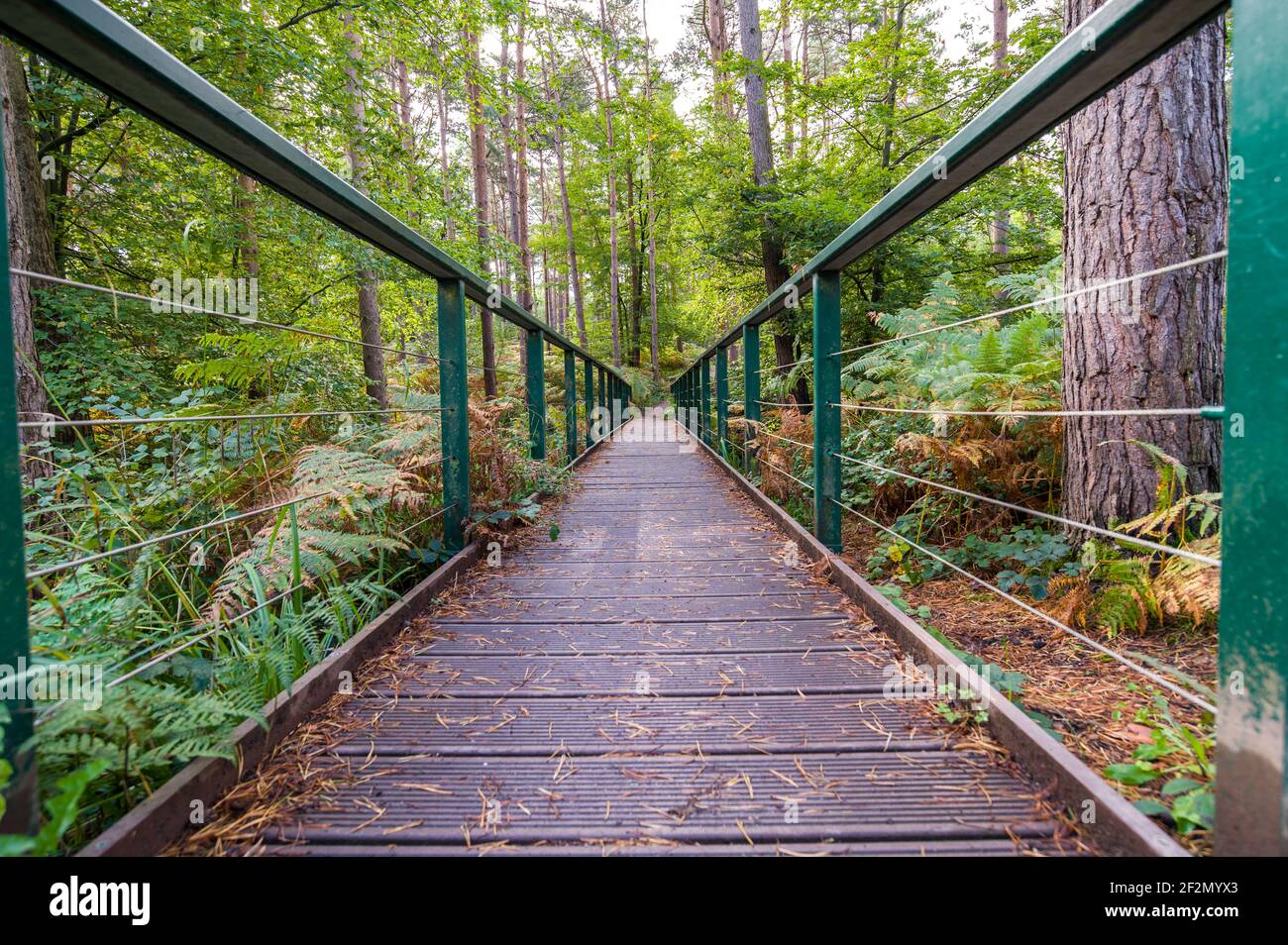 Wooden bridge abstract park hi-res stock photography and images - Alamy