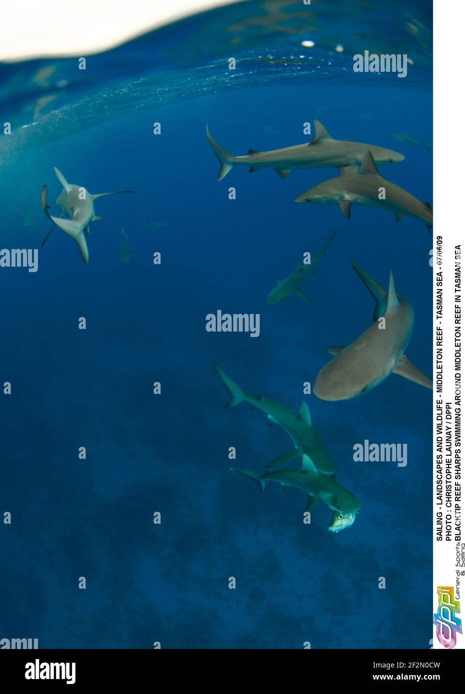 SAILING - LANDSCAPES AND WILDLIFE - MIDDLETON REEF - TASMAN SEA - 07/06 ...