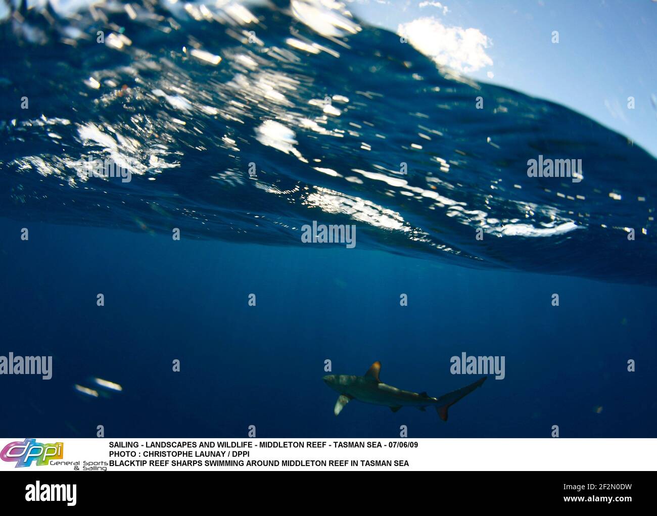 SAILING - LANDSCAPES AND WILDLIFE - MIDDLETON REEF - TASMAN SEA - 07/06 ...