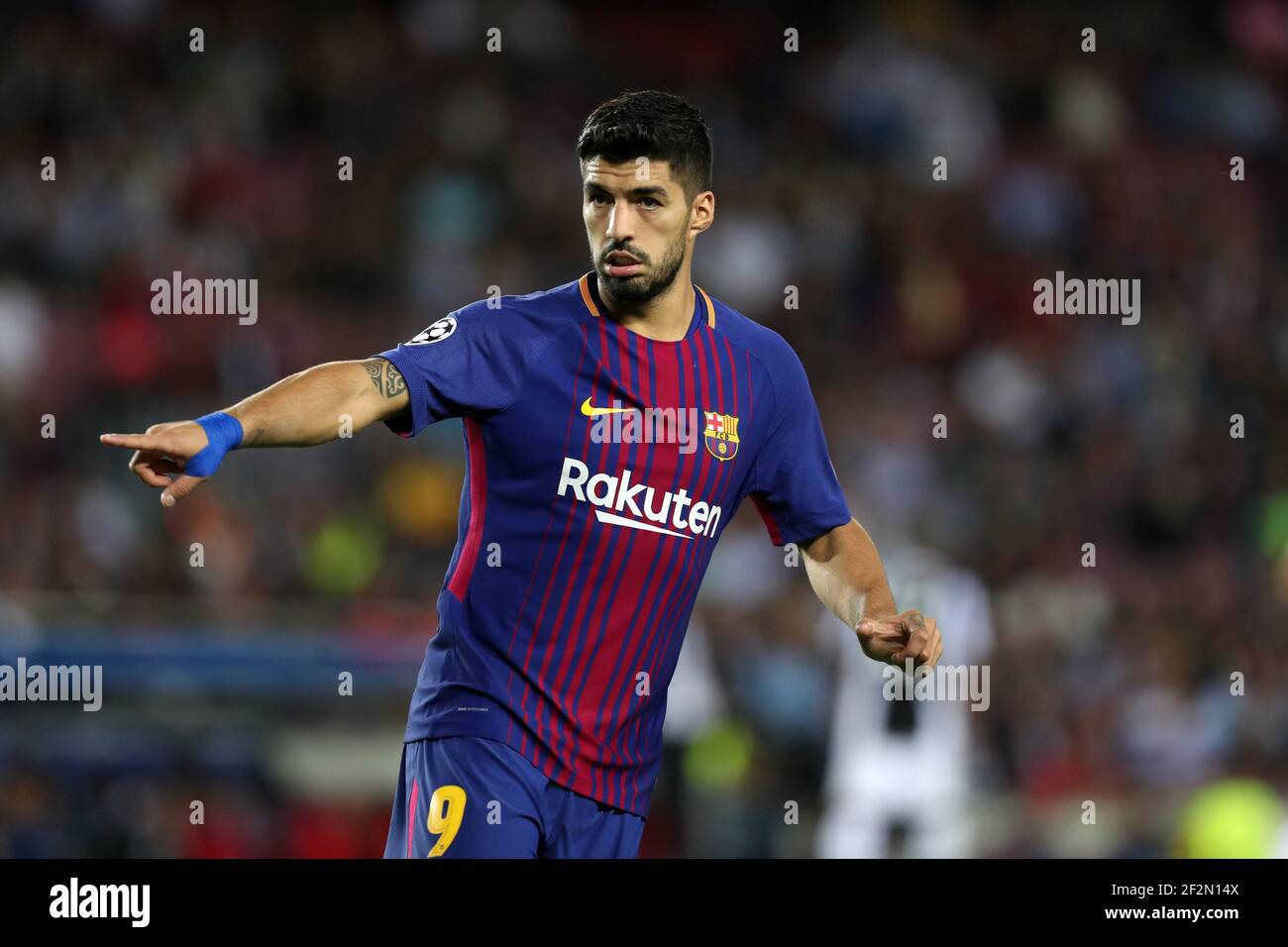 Luis Suarez of FC Barcelona during the UEFA Champions League, Group D ...