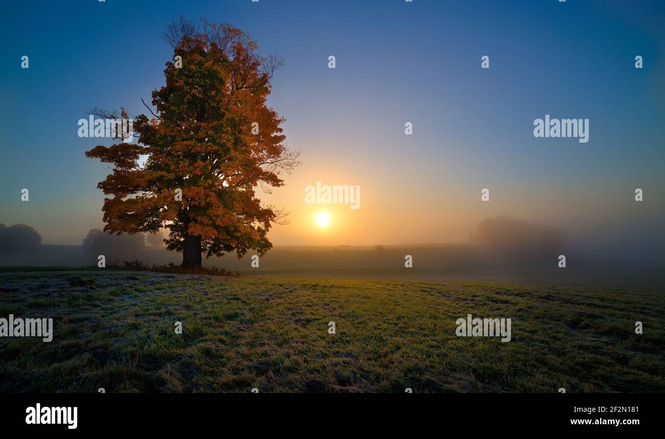Frost mist and dawn colors hi-res stock photography and images - Alamy
