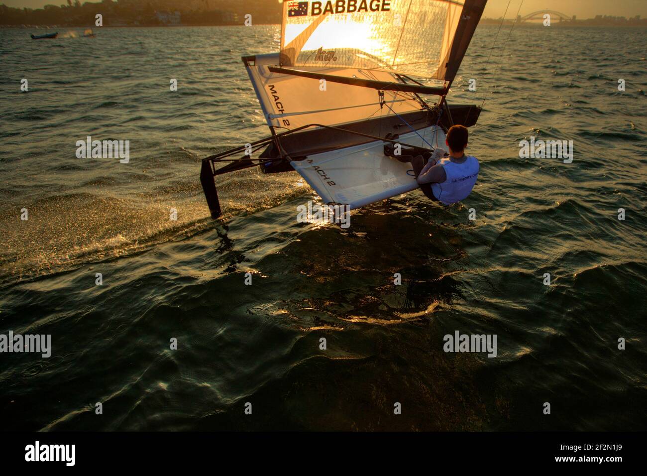 The session moth hi-res stock photography and images - Alamy