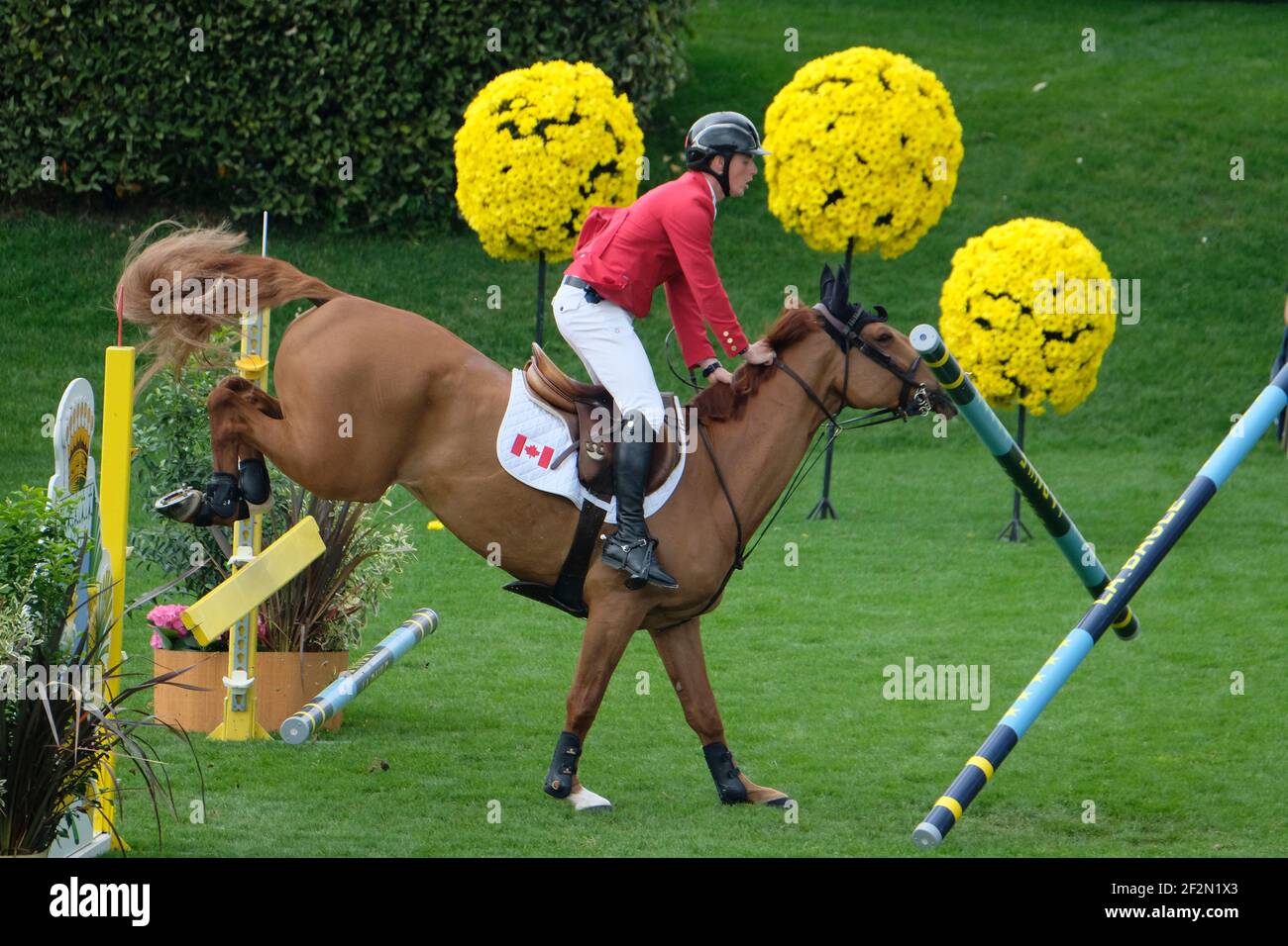 Tim Wilks riding Knock Out Van't Paradijs during the 2019 Longines FEI ...