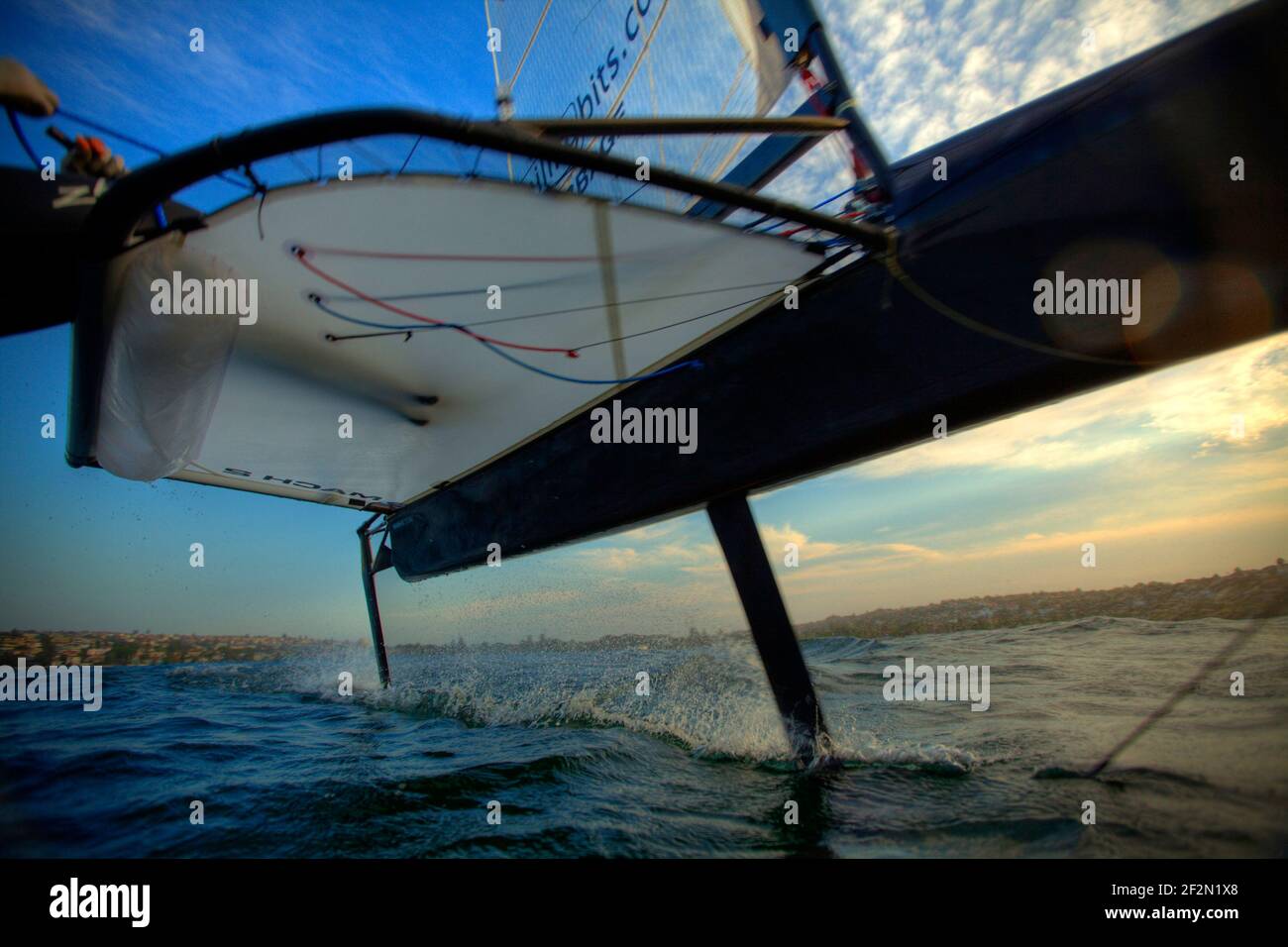 The session moth hi-res stock photography and images - Alamy