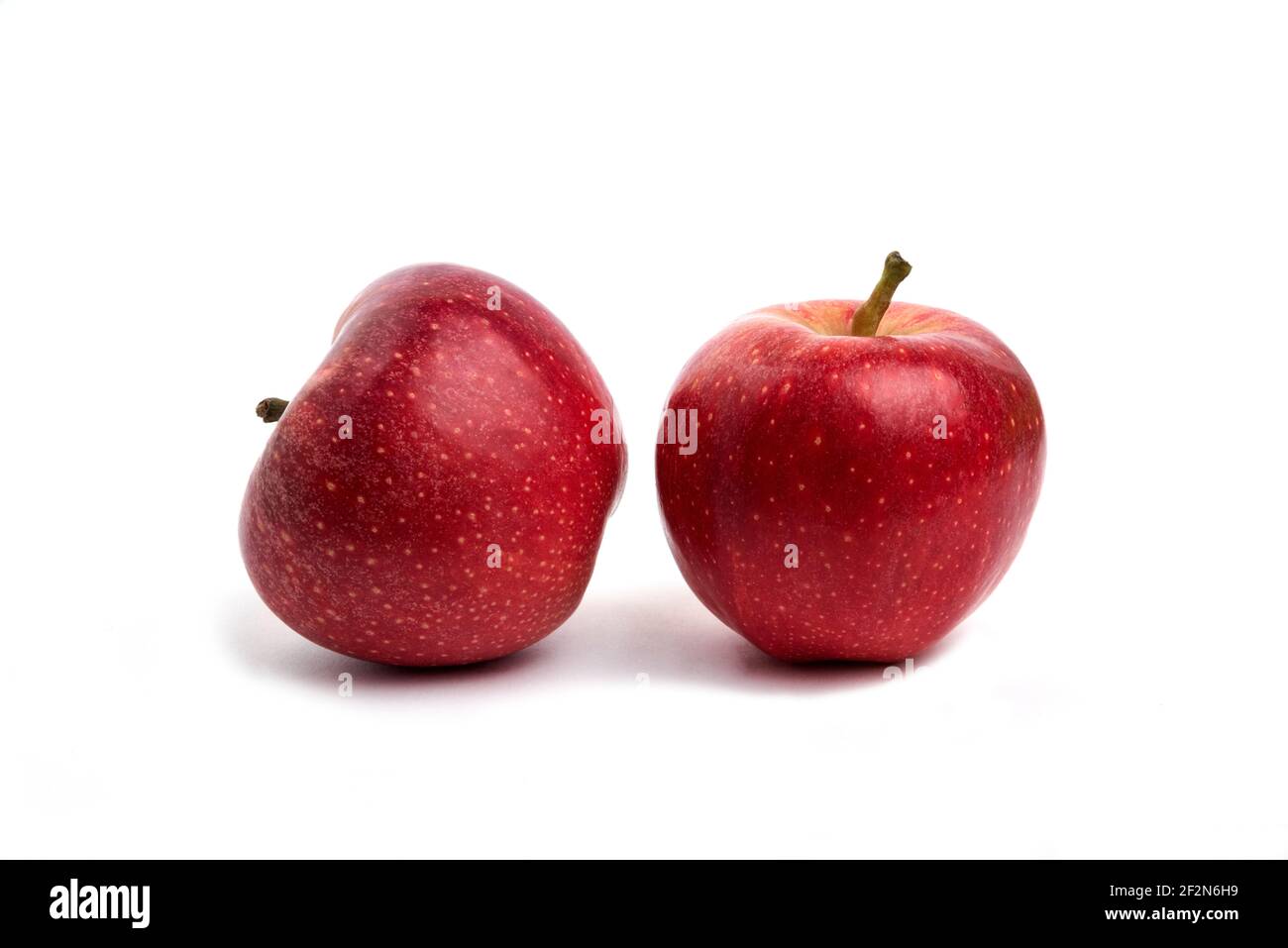 Two red apples isolated on white background Stock Photo - Alamy
