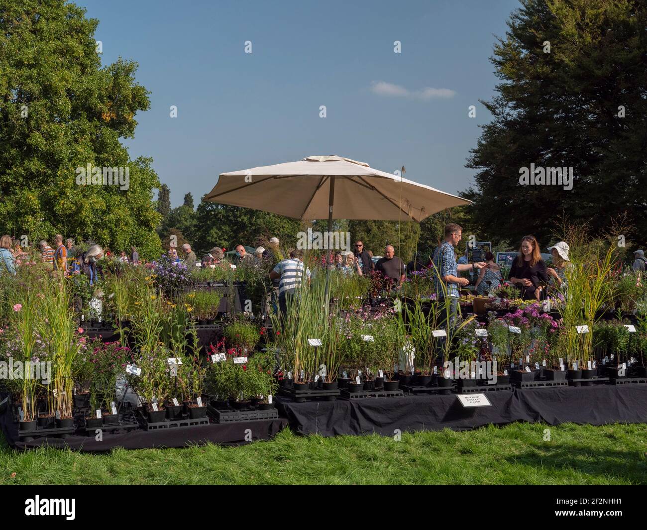 Photo of Rare Plant Fair held at Llanover Garden in Wales, UK ...