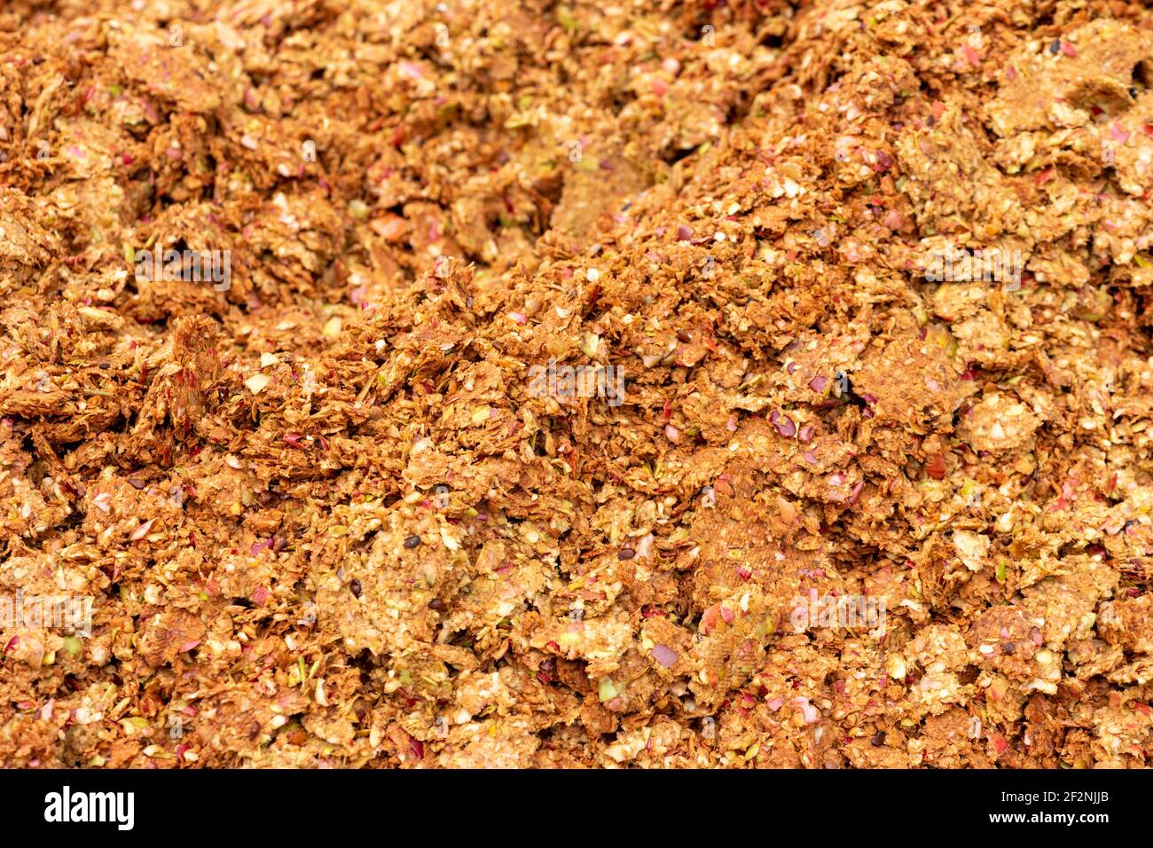 Pressed shells hi-res stock photography and images - Alamy