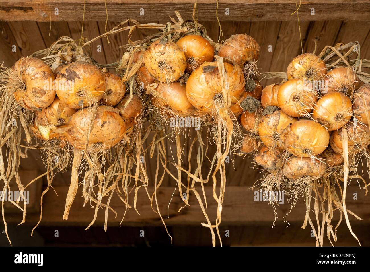 Vegetable storage shed hi-res stock photography and images - Alamy