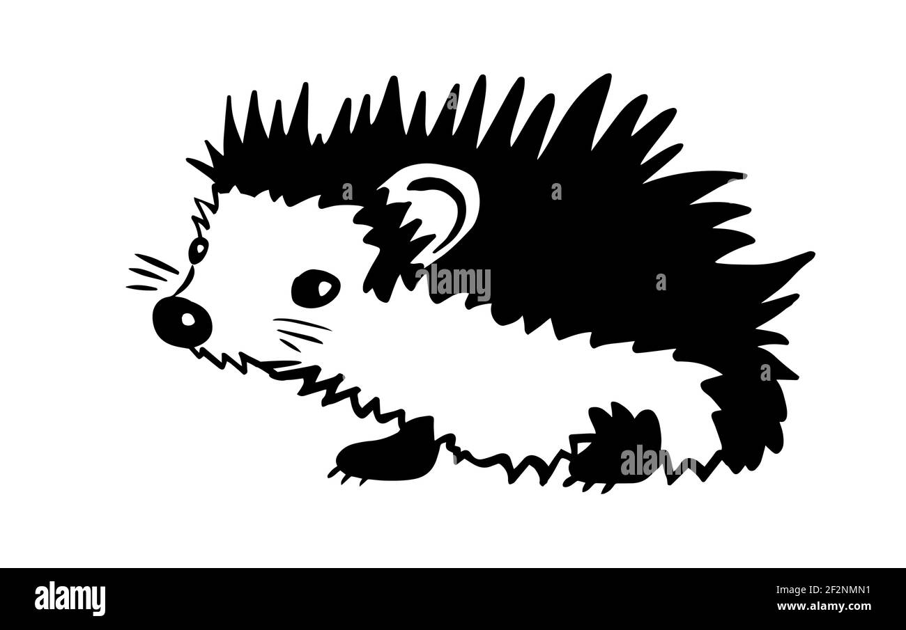 Cute hedgehog monochrome. Vector illustration Stock Vector Image & Art ...