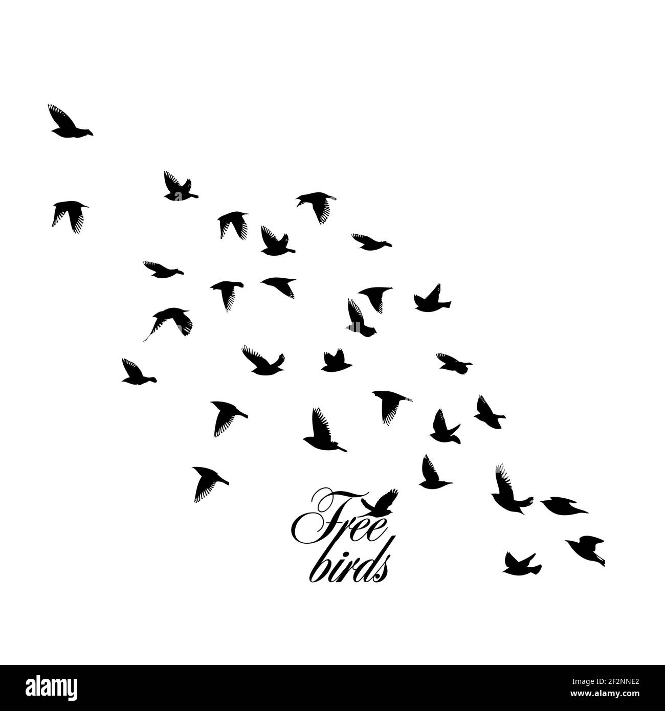 Flock Of Birds Vector