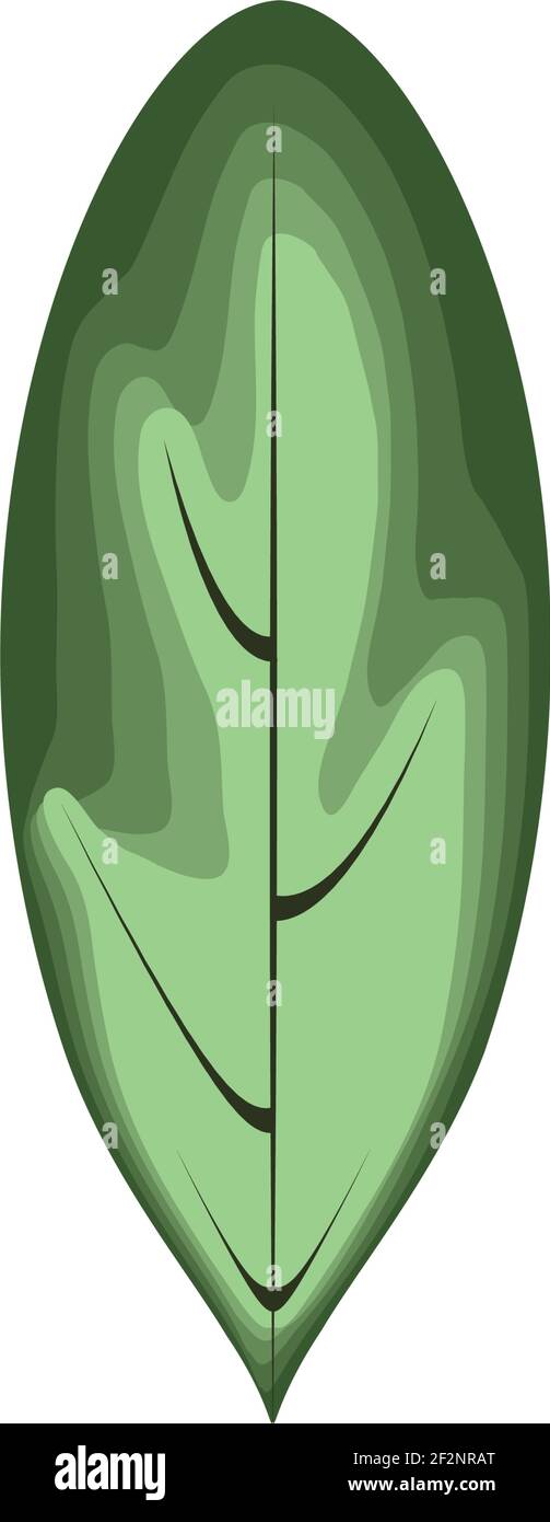 leaf plant natural cartoon isolated Stock Vector Image & Art - Alamy