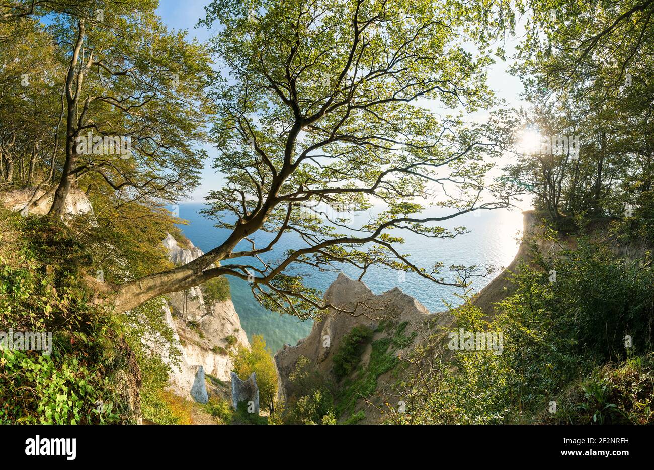 Panorama, chalk cliffs "Møns Klint", Denmark, Baltic Sea, steep coast ...