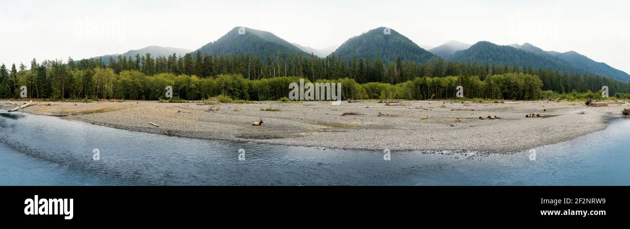 Panorama, North America, Olympic National Park, Red Deer Biosphere ...