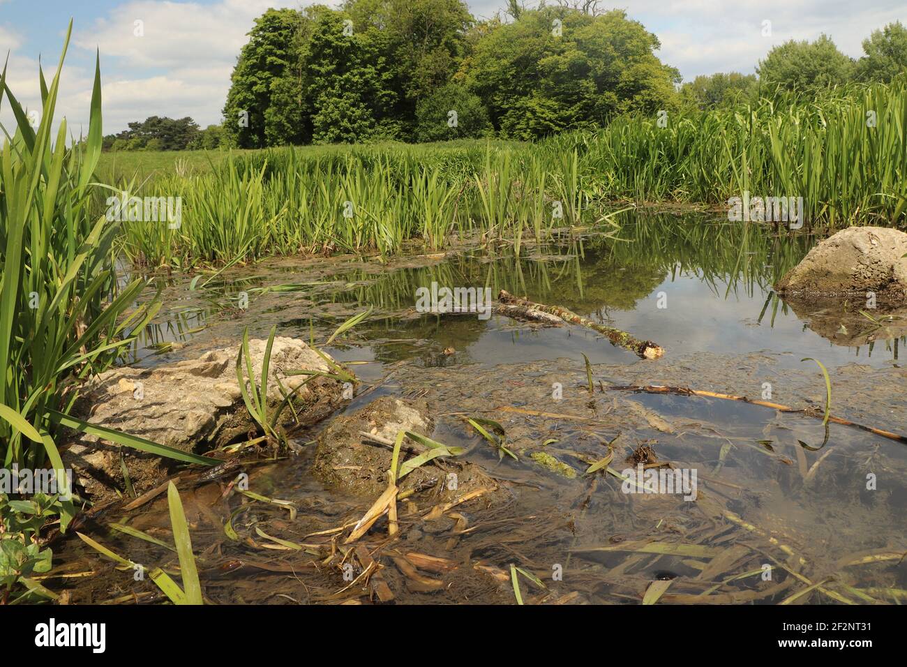 Ground level close up of mud and water sloshing down a stream Stock ...