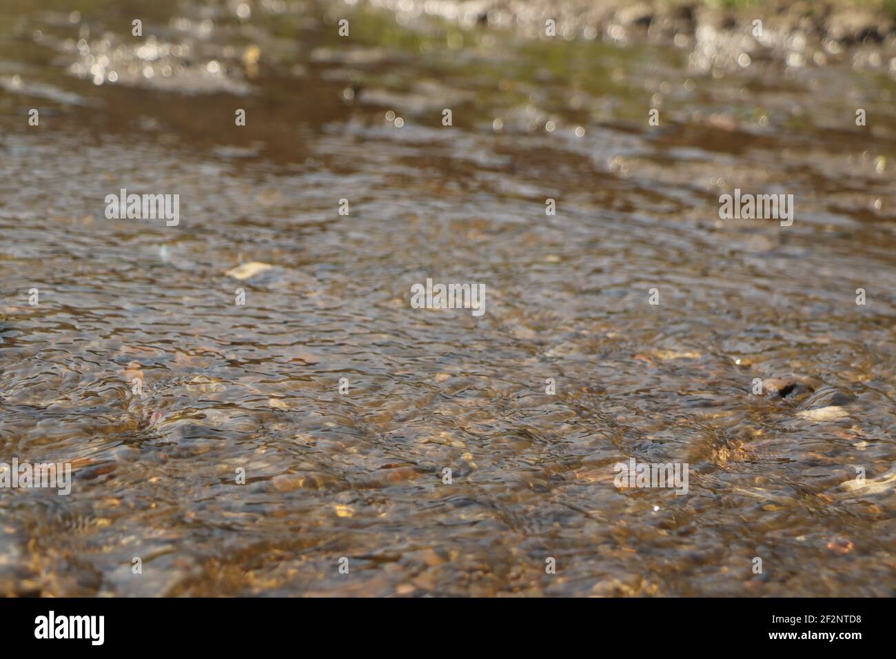 Ground level close up of mud and water sloshing down a stream Stock ...