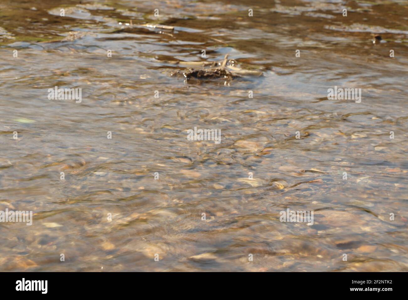 Ground level close up of mud and water sloshing down a stream Stock ...
