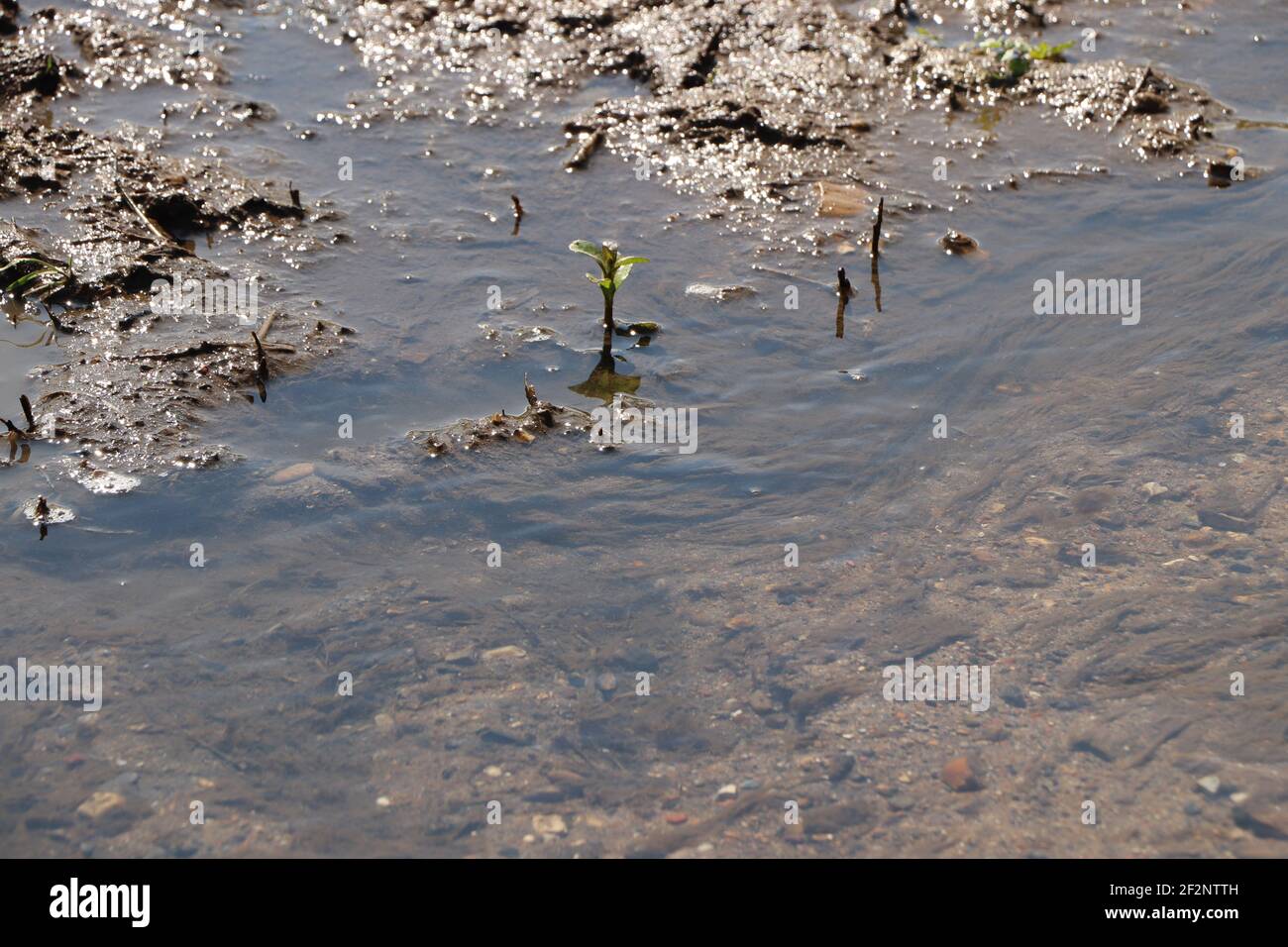 Ground level close up of mud and water sloshing down a stream Stock ...