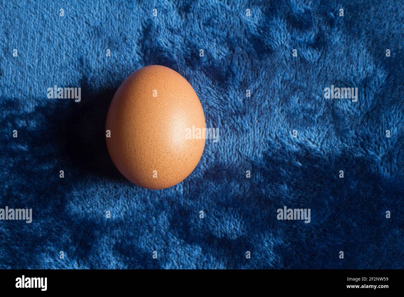 A brown egg isolated on a gradient blue texture background with room to ...