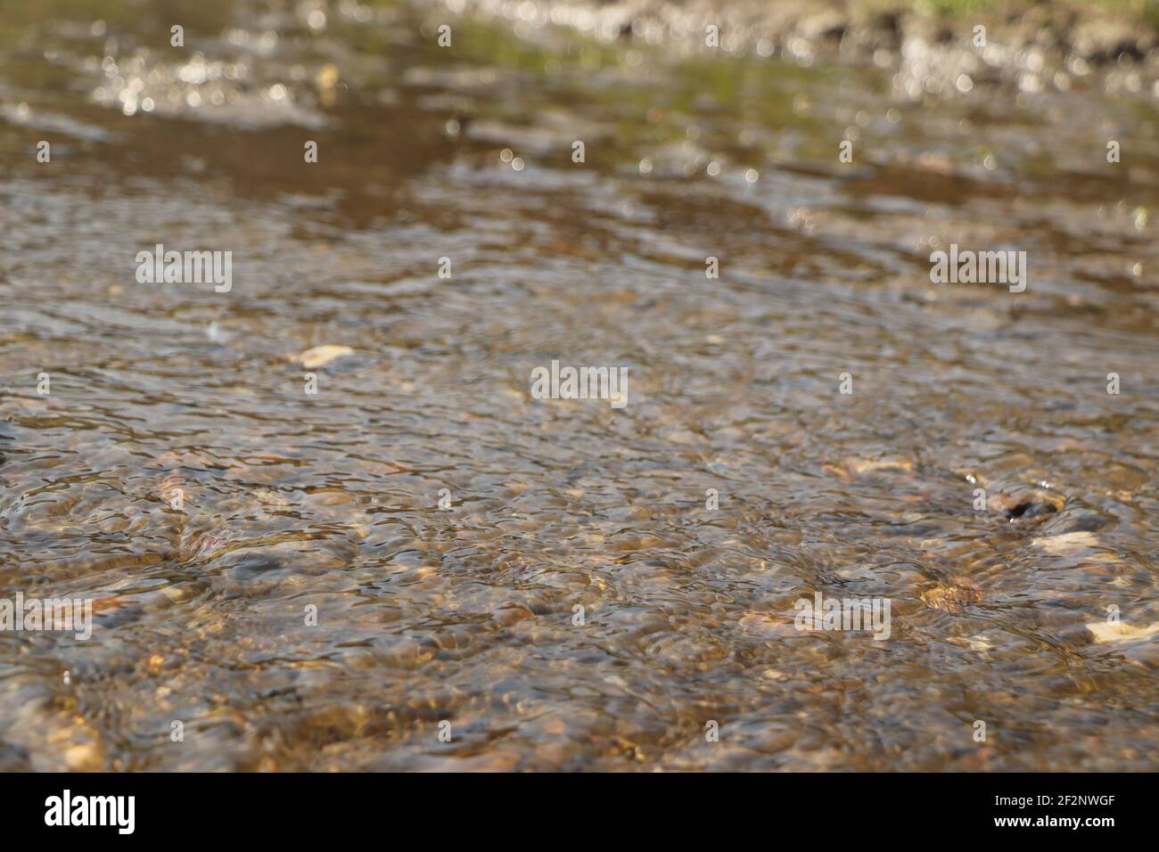 Ground level close up of mud and water sloshing down a stream Stock ...