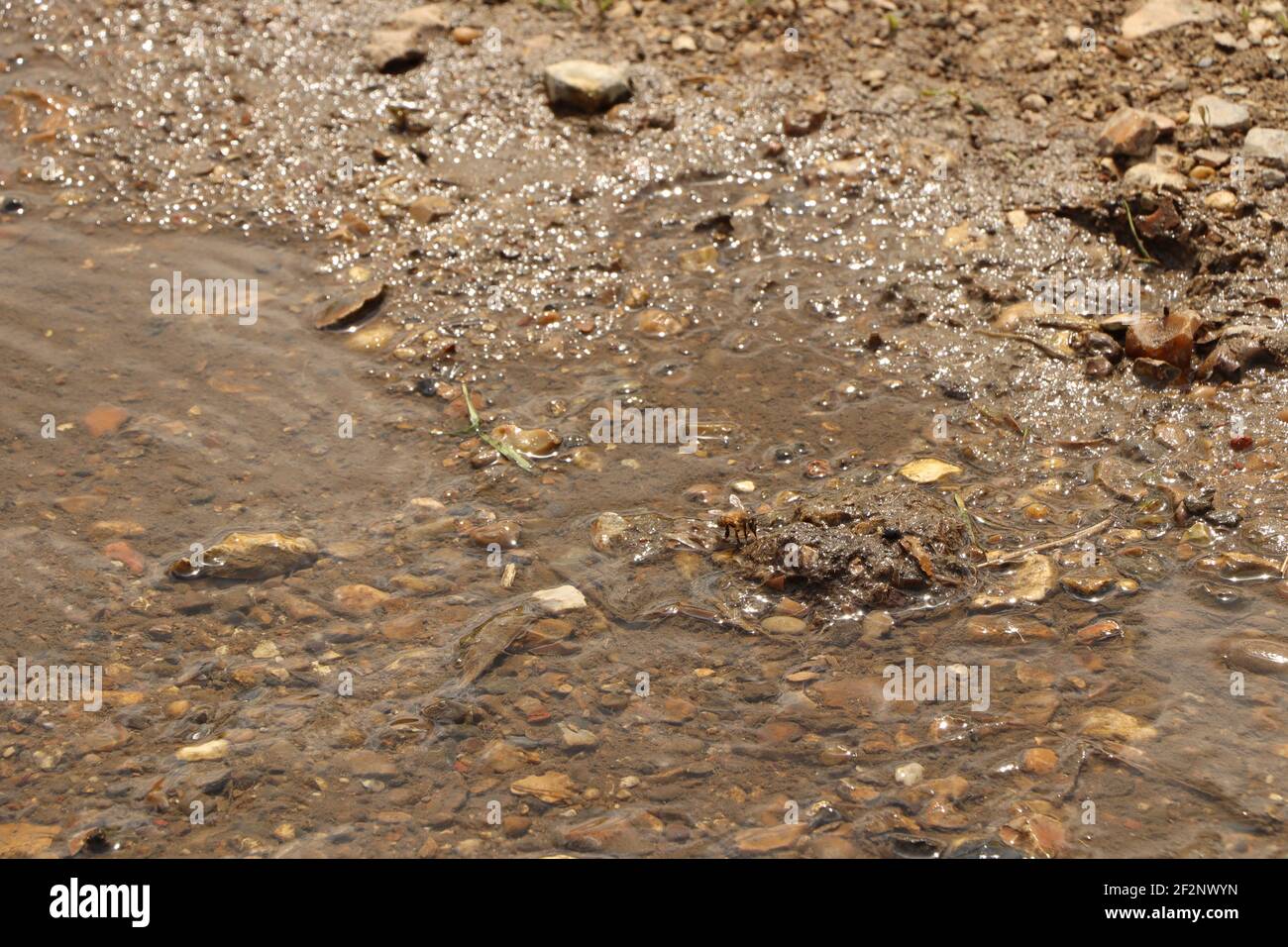 Ground level close up of mud and water sloshing down a stream Stock ...