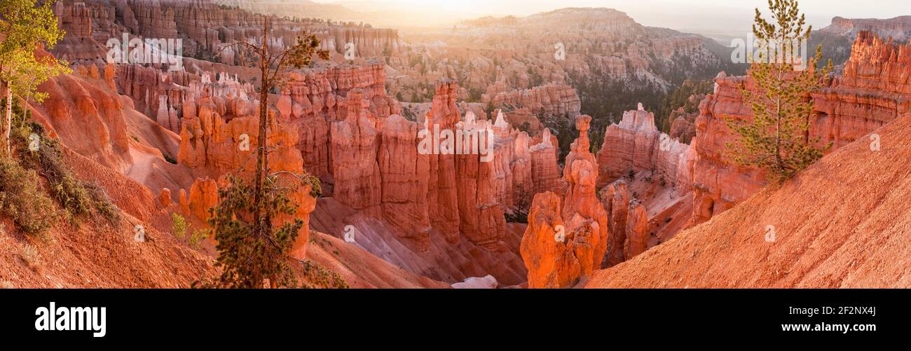 Panorama, USA, Bryce Canyon National Park, amphitheater Stock Photo - Alamy