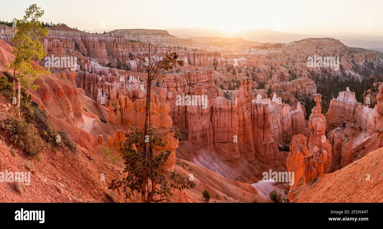 Panorama, USA, Bryce Canyon National Park, amphitheater Stock Photo - Alamy