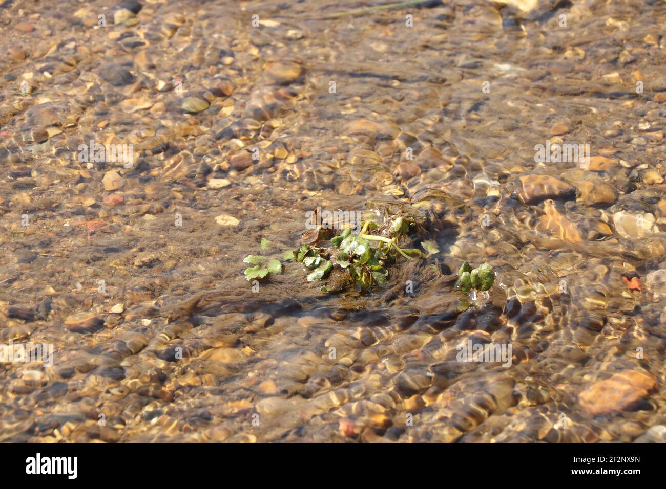 Ground level close up of mud and water sloshing down a stream Stock ...