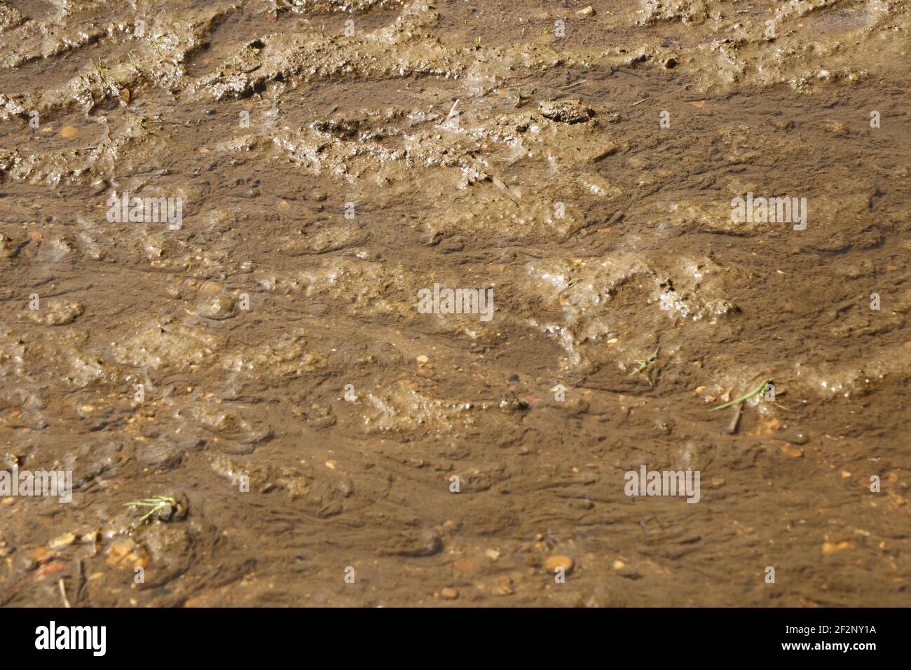 Ground level close up of mud and water sloshing down a stream Stock ...