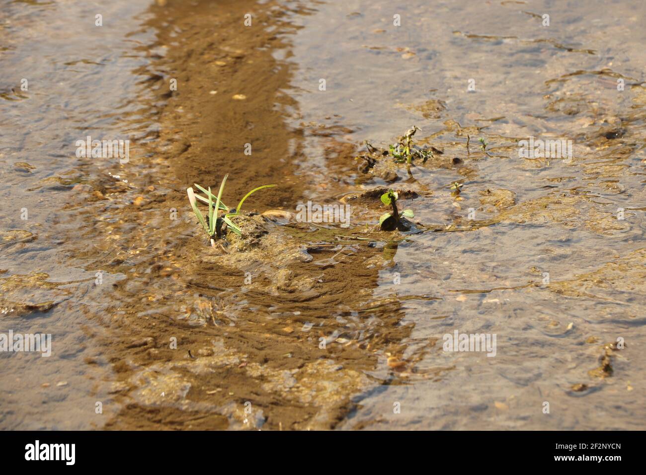 Ground level close up of mud and water sloshing down a stream Stock ...