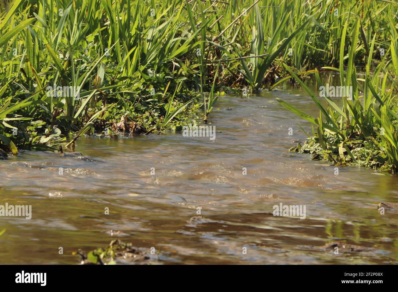Ground level close up of mud and water sloshing down a stream Stock ...