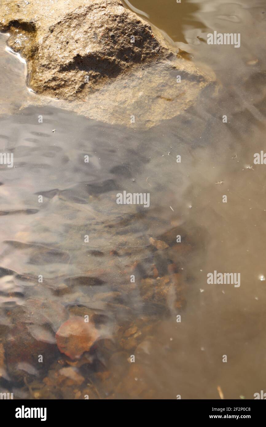 Ground level close up of mud and water sloshing down a stream Stock ...