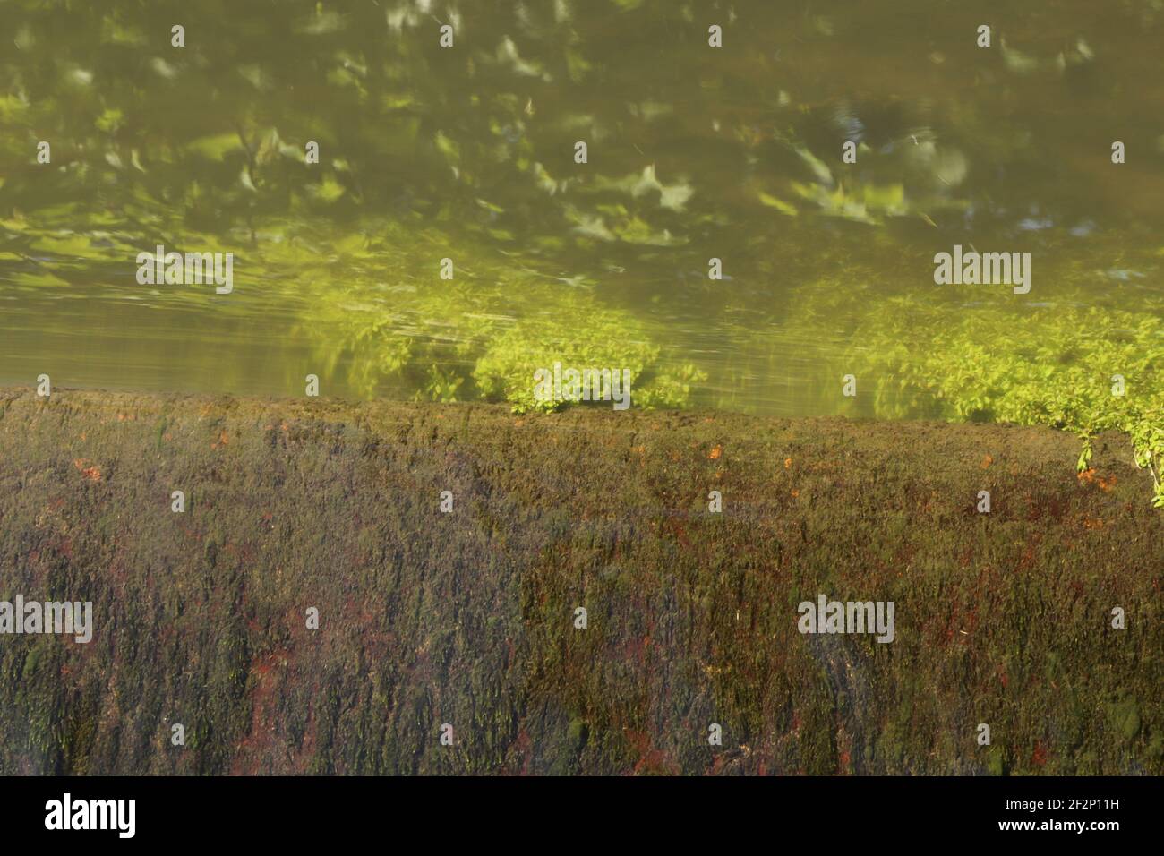 Ground level close up of mud and water sloshing down a stream Stock ...