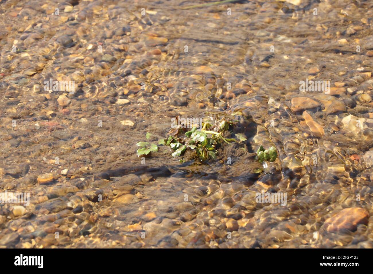 Ground level close up of mud and water sloshing down a stream Stock ...