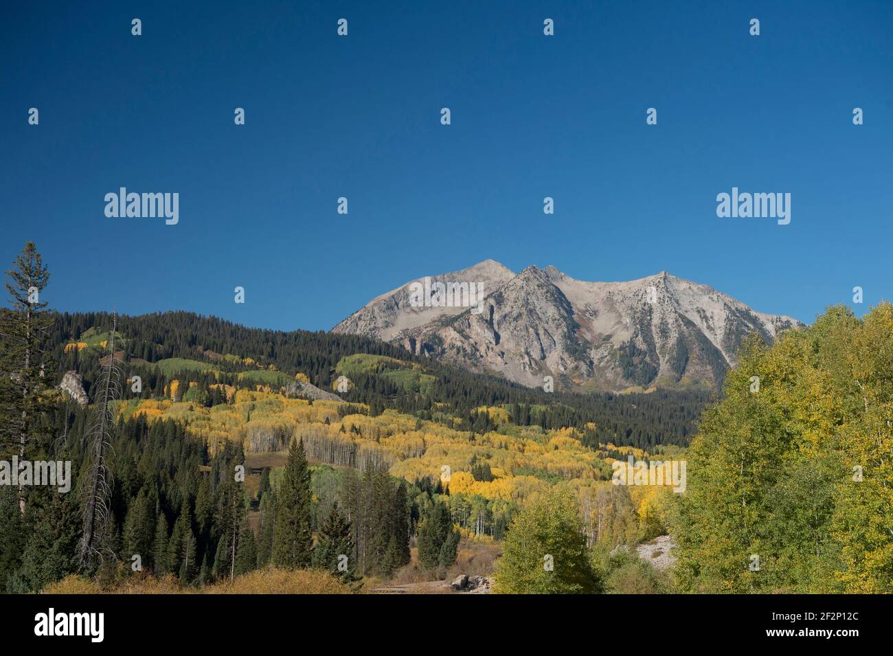 East Beckwith Mountain, Gunnison National Forest, Colorado Stock Photo ...