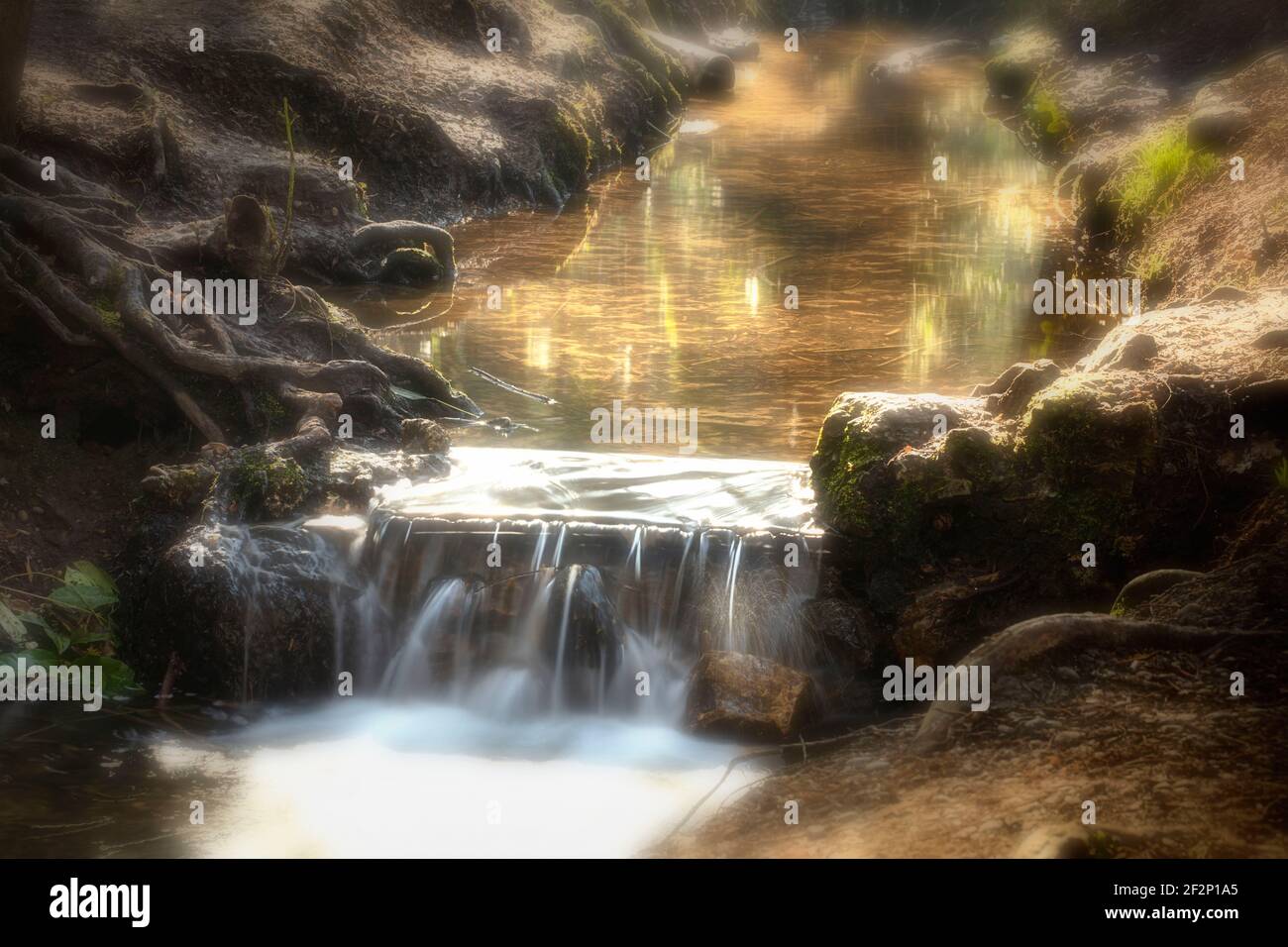 Intimate landscape of stream rushing over a waterfall in a woodland ...