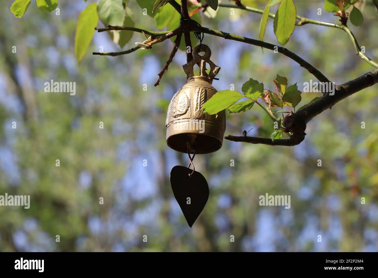 Hanging from a tree on a thin string Stock Photo - Alamy